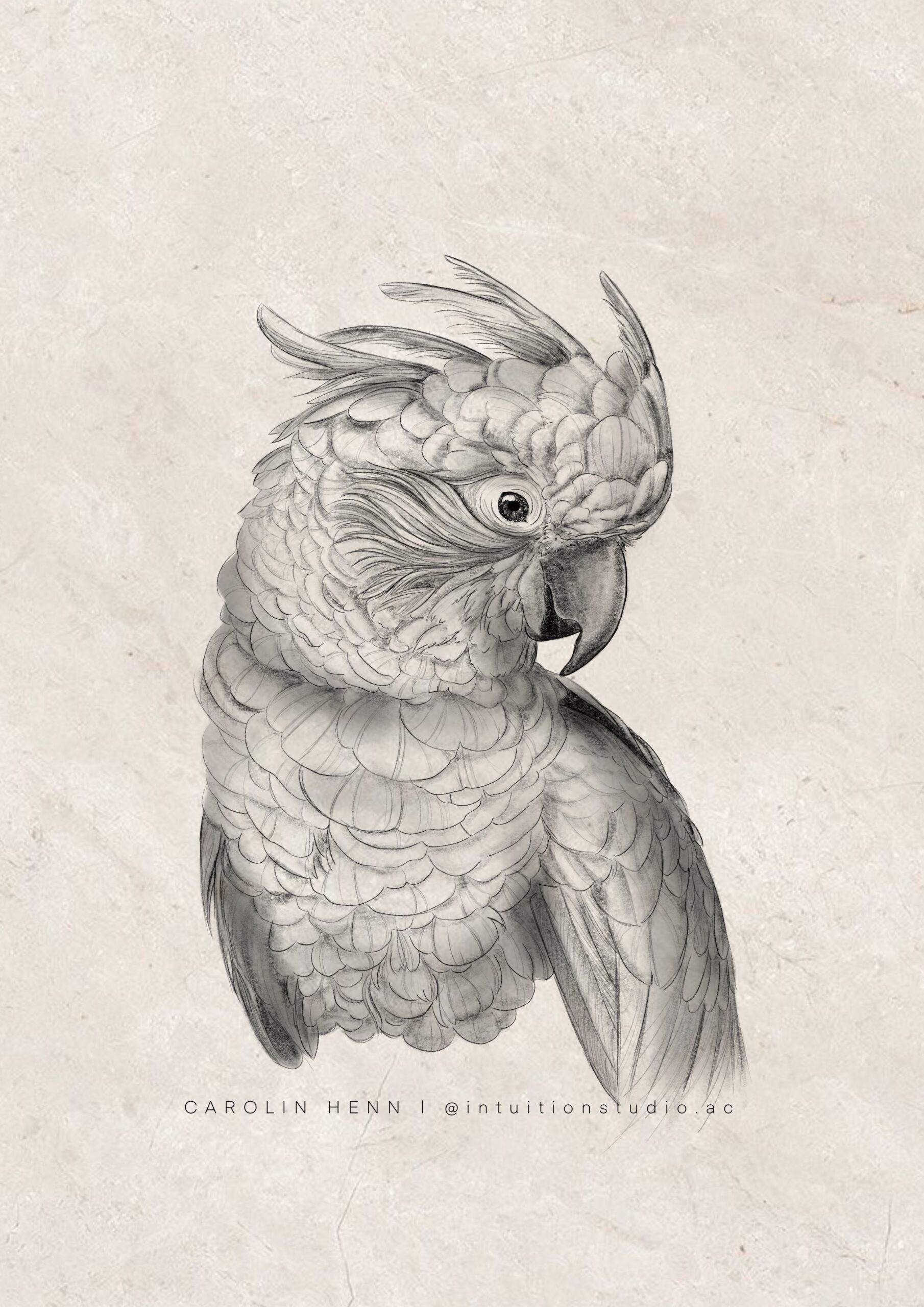 hochwertige Fineline Tattoos Aachen | filigran und individuell ...