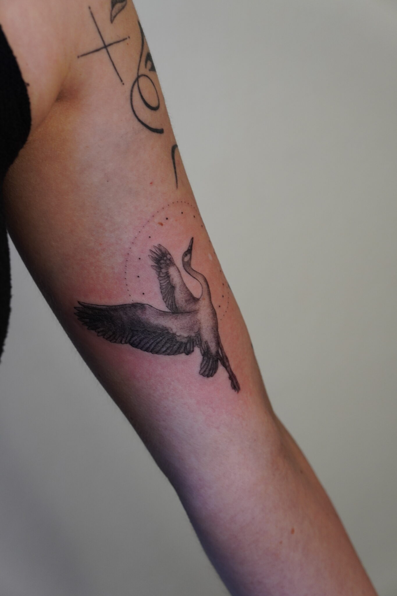 hochwertige Fineline Tattoos Aachen | filigran und individuell - INTUITION STUDIO