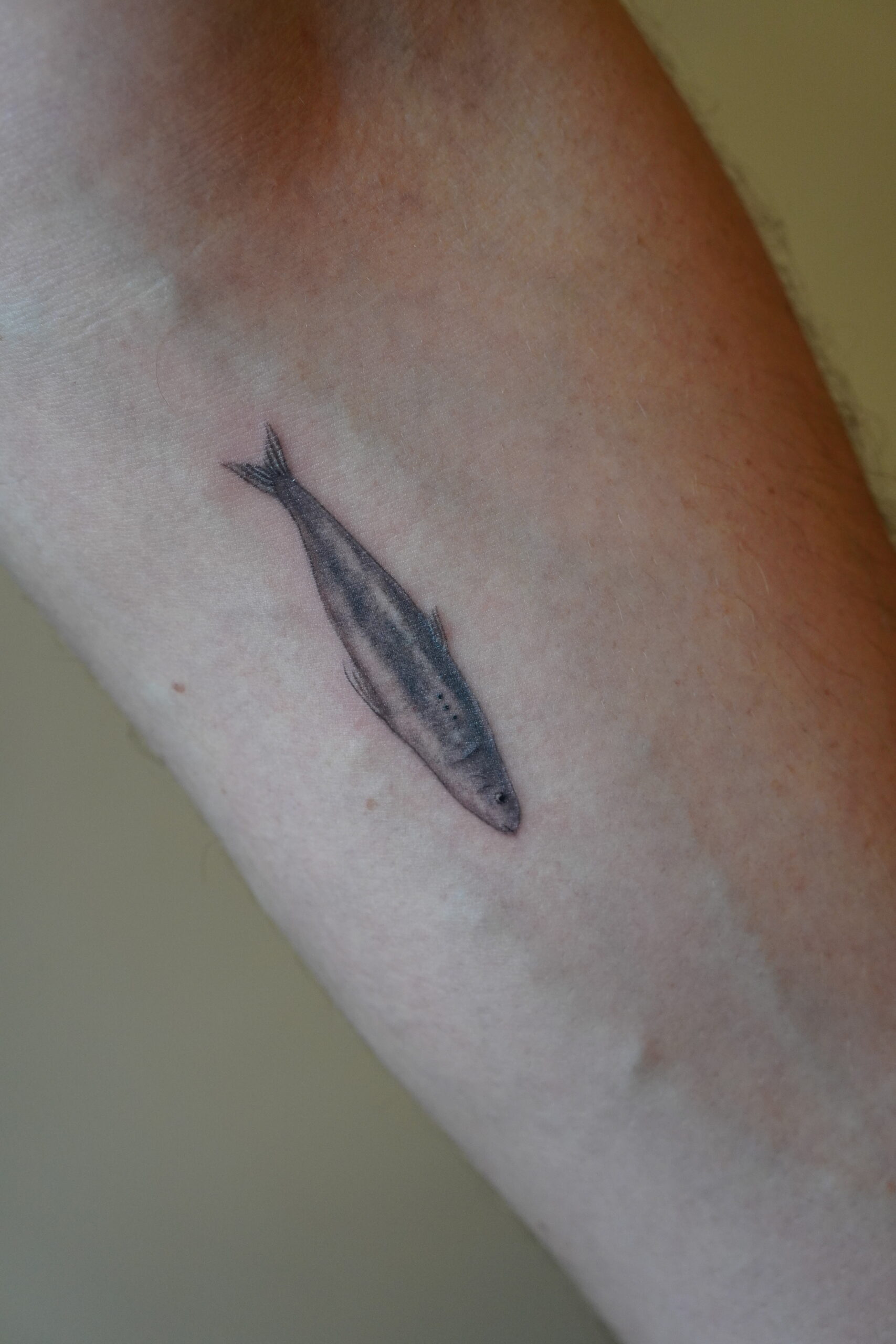 hochwertige Fineline Tattoos Aachen | filigran und individuell - INTUITION STUDIO